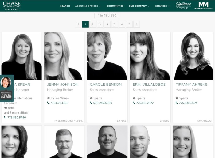 Format for Writing Agent Bios - WAV Group Consulting